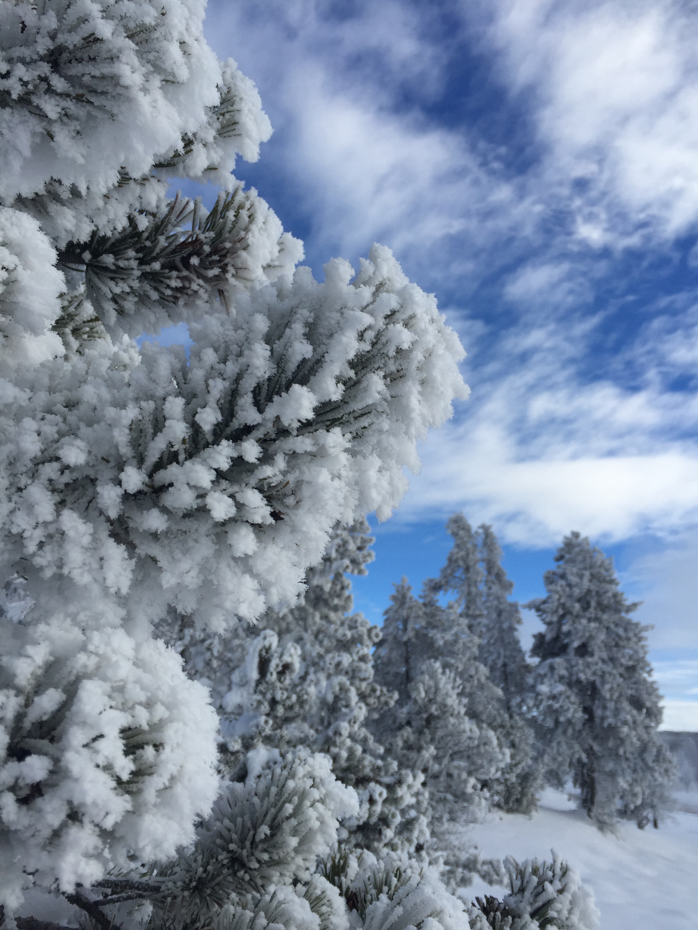 Inspiration – Tinker Maker Creator