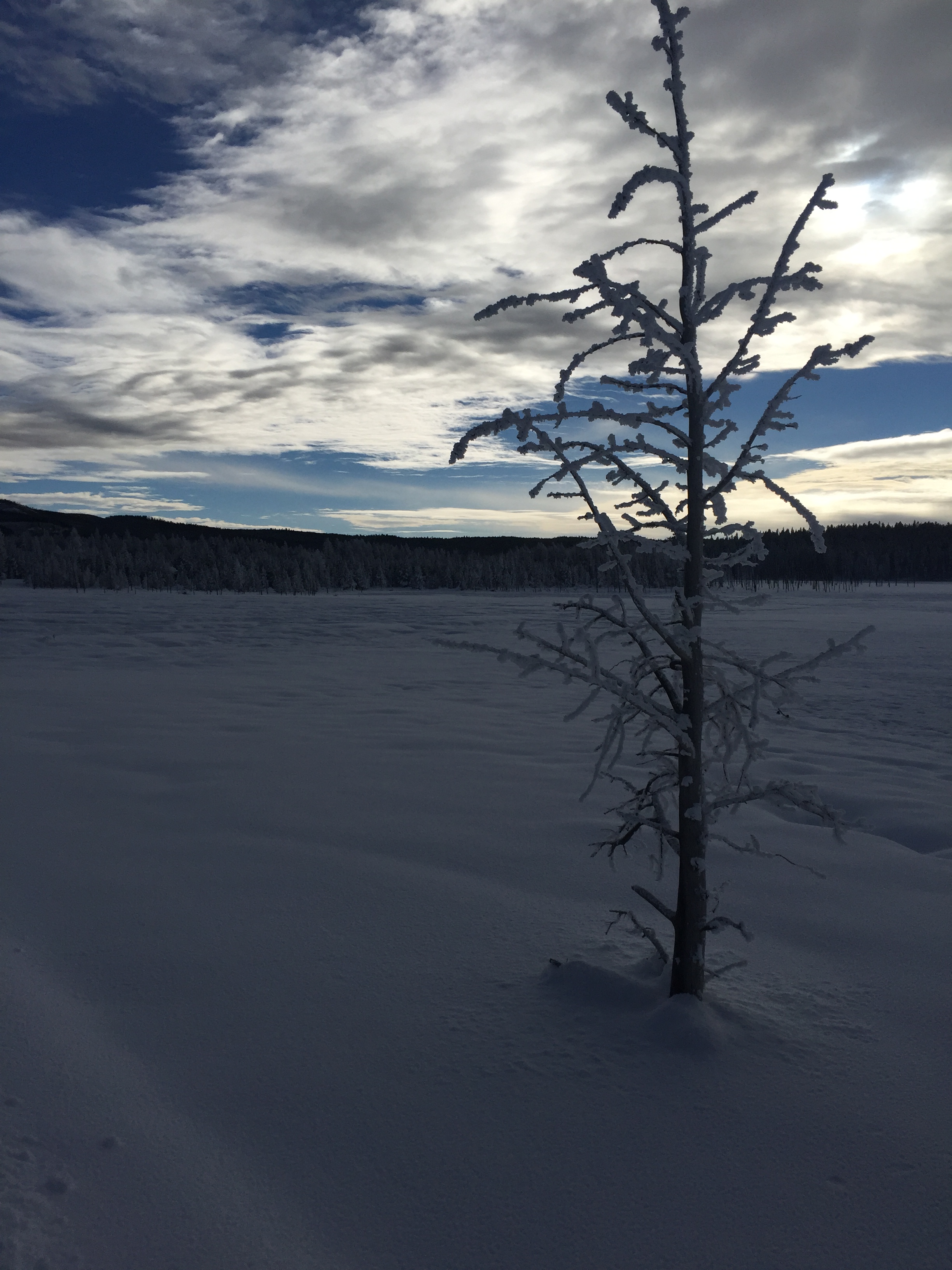 Inspiration – Tinker Maker Creator