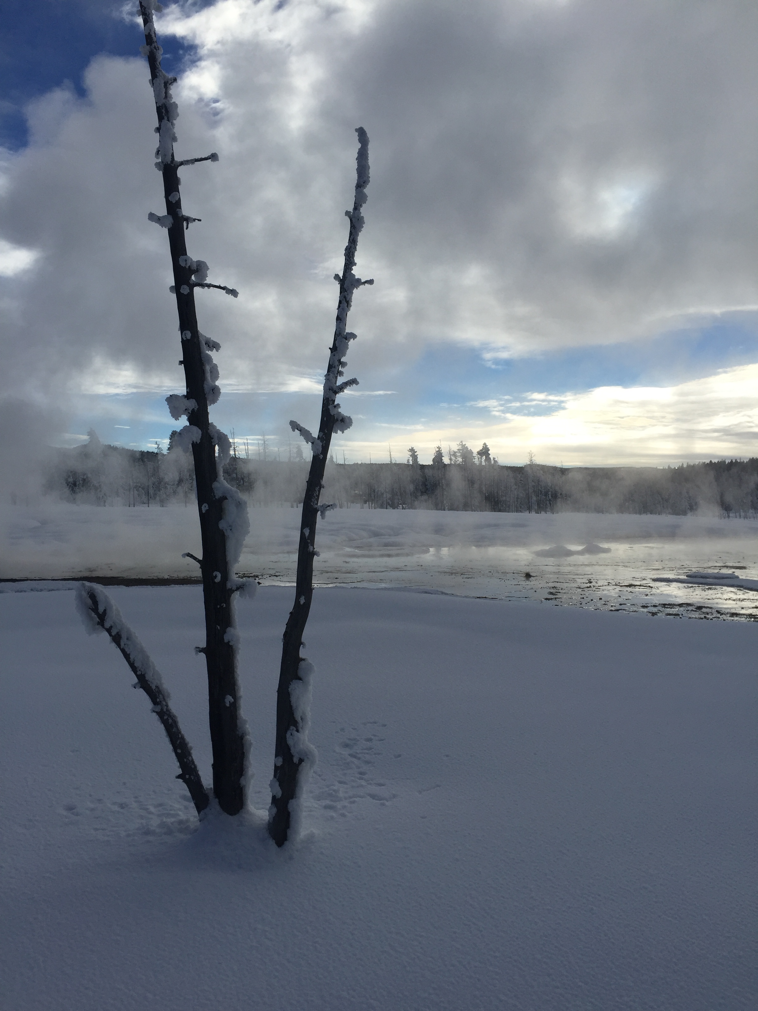 Inspiration – Tinker Maker Creator