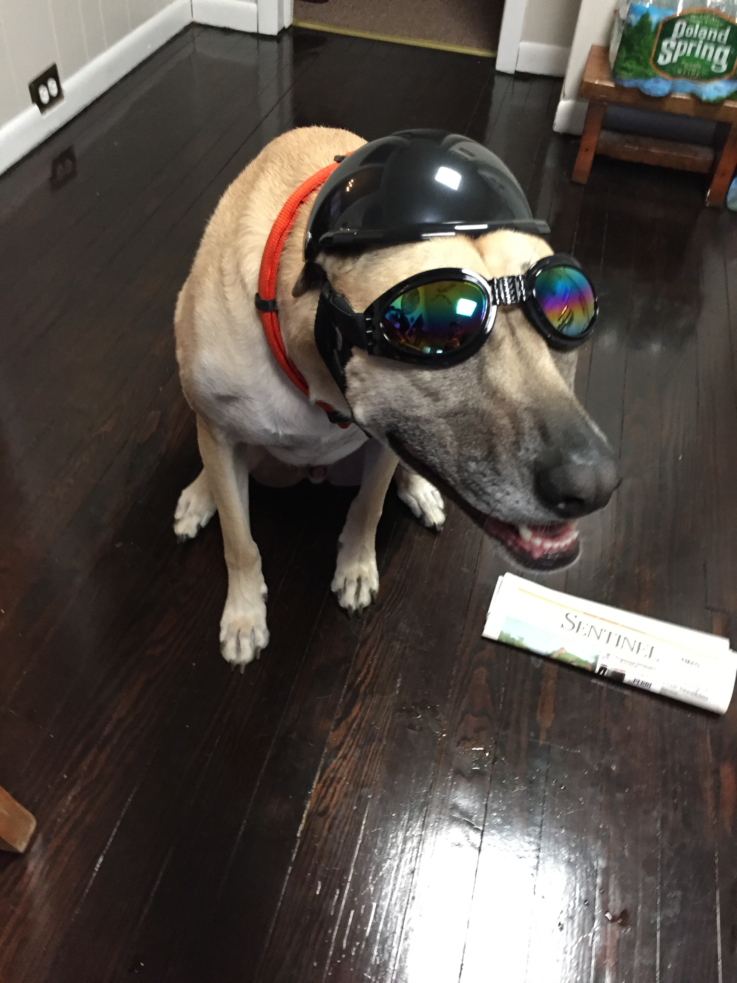 Inspiration – Tinker Maker Creator