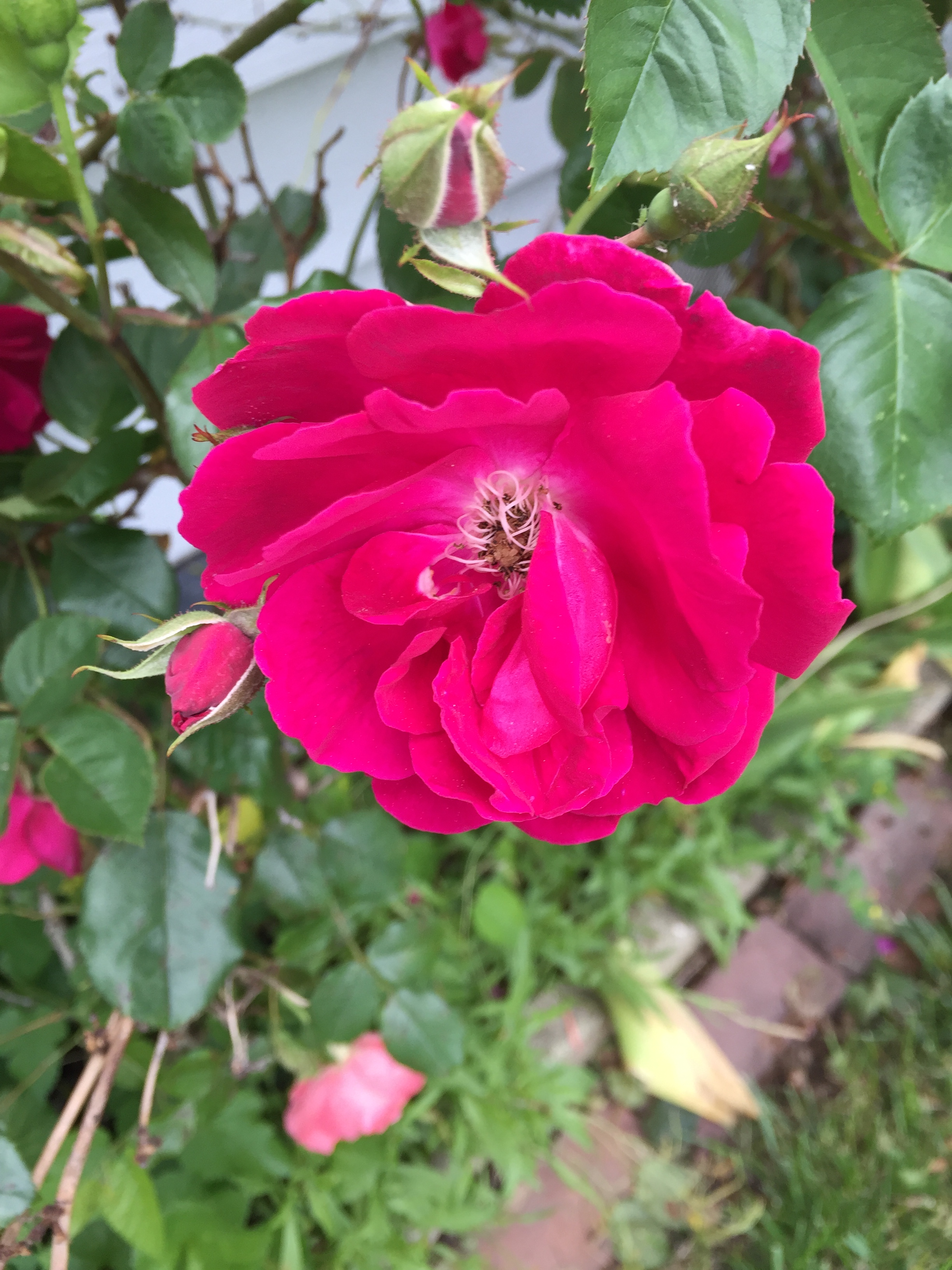 Inspiration – Tinker Maker Creator